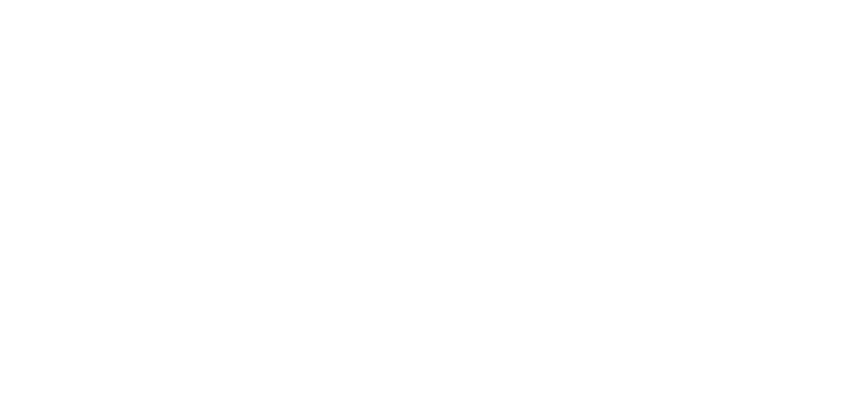 Focus - Company